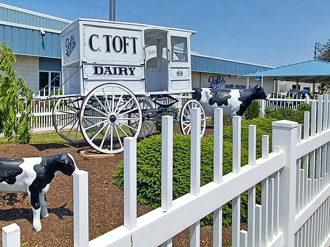 Toft's Dairy: Where cows are celebrities and ice cream is royalty. That giant bovine statue is basically the dairy world's Hollywood sign.