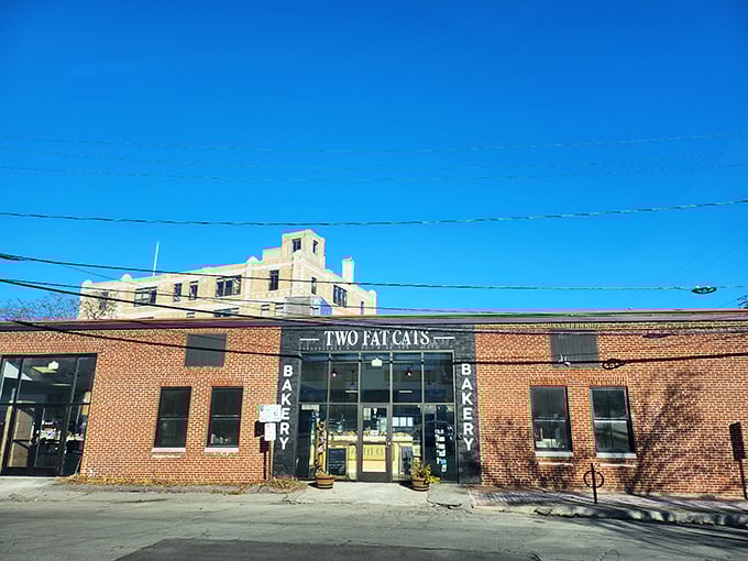 Meow-velous treats await! Two Fat Cats Bakery's understated exterior belies the purr-fection of pastries within. No whiskers required for entry!