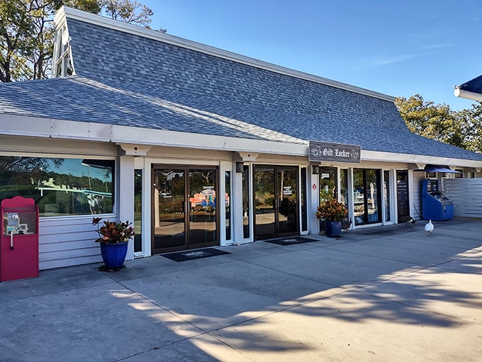 Dive into nostalgia! Weeki Wachee's retro charm is as refreshing as a dip in a cool spring on a hot Florida day.