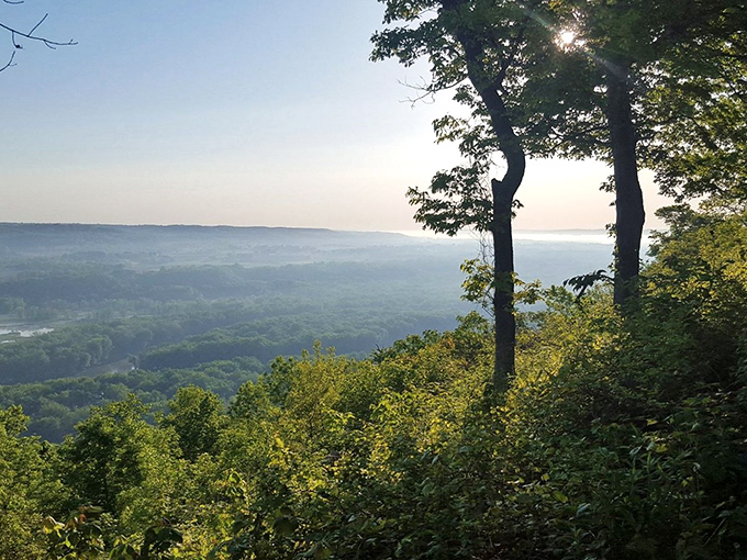 Wyalusing's bluff-top views: Three states, two rivers, one jaw-dropping panorama. No Instagram filter required!