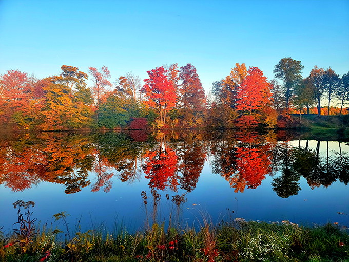 "Mother Nature's fall fashion show." Forget Paris runways; this reflection pool is serving up autumn realness that'd make even Vogue jealous.