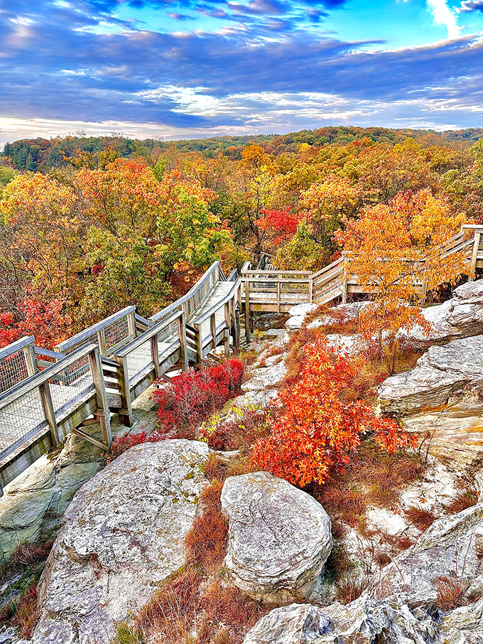 Fall foliage that puts even the most ambitious Christmas light display to shame. Nature's fireworks show is in full swing!