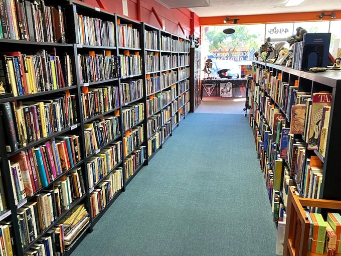 Dewey Decimal System? More like the Delightfully Mysterious System. These shelves are an orderly chaos of occult wonders.