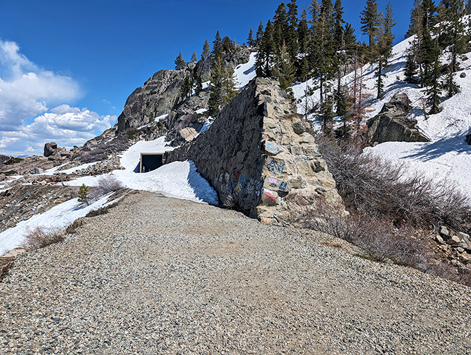 Winter wonderland meets urban exploration. It's like stepping into Narnia, if Narnia had awesome graffiti.