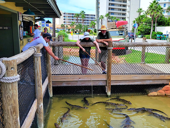 Feeding time at the zoo? Nope, just another day at Congo River Golf! These gators are living proof that Florida's wildlife is always ready for its close-up.