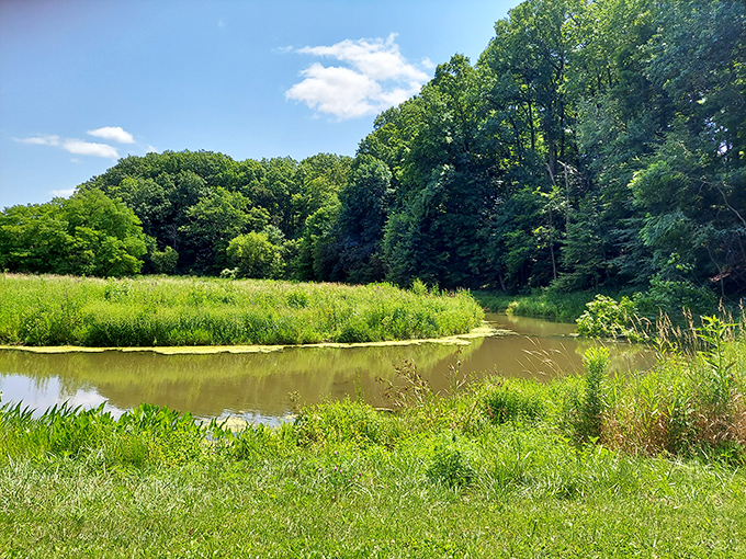 Mother Nature's screensaver in real life! This lush scene is so perfect, you'll be checking for a 'refresh' button in the bushes.