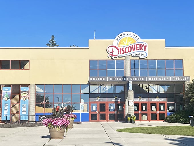 Discover your inner explorer at the Minnesota Discovery Center. This modern building promises adventures that'll make Indiana Jones jealous &ndash; no bullwhip required!