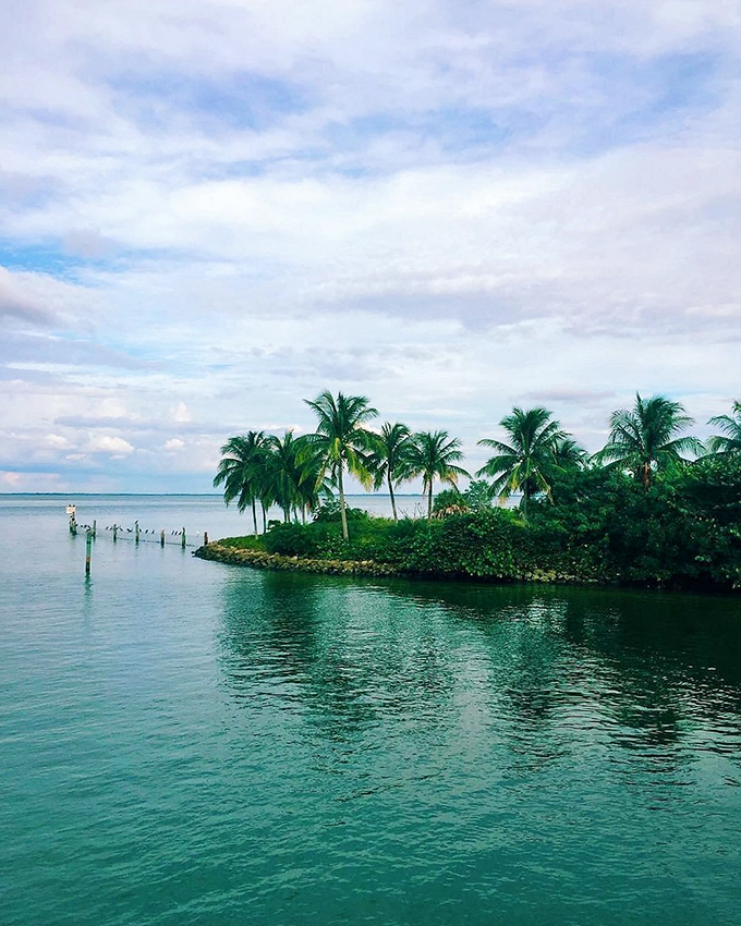 Postcard-perfect panorama! Captiva's lush greenery meets turquoise waters in a view so stunning, it'll make your phone's camera roll jealous.