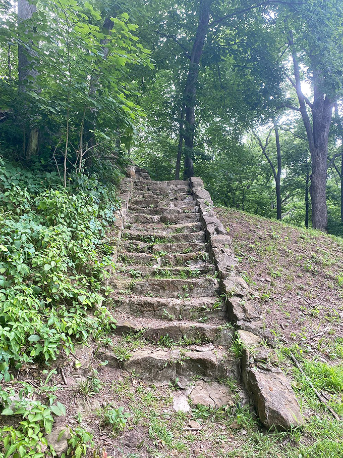"Stairway to heaven? Nope, just another day in Iowa's paradise." These stone steps lead to breathtaking views and maybe a workout you didn't plan for.
