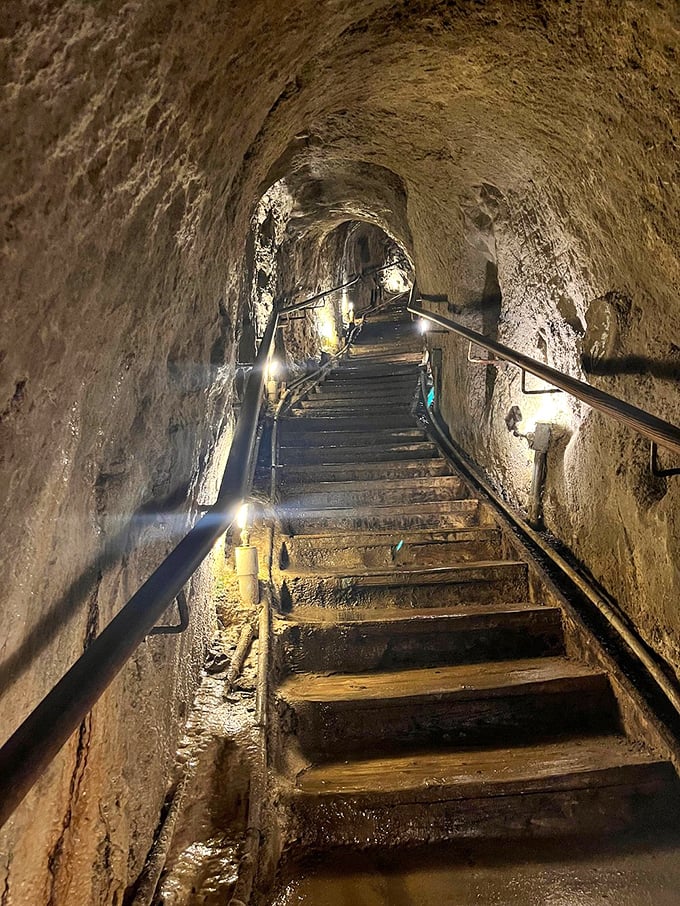 These stairs have seen more action than Rocky Balboa's. Each step is a time machine, taking you deeper into Earth's history.