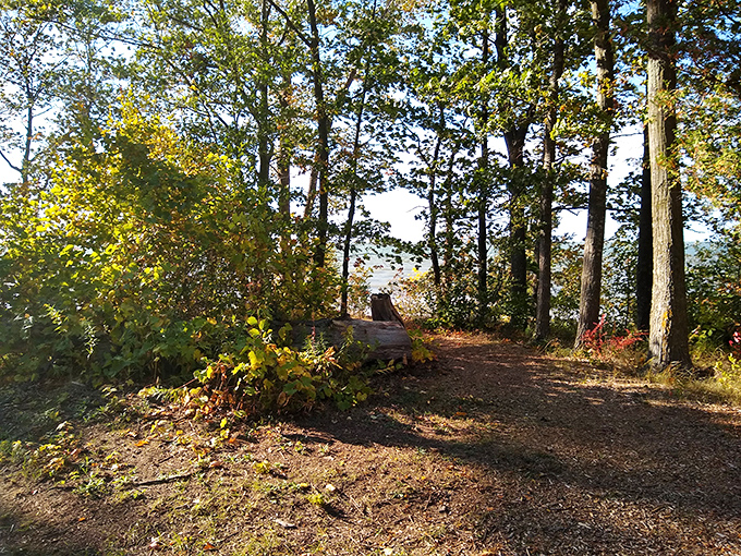 Nature's red carpet treatment! This winding trail invites you to explore the park's hidden treasures.