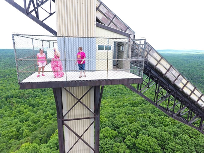 Three brave souls venture where eagles dare. Let's hope they remembered to pack their parachutes... and their courage!