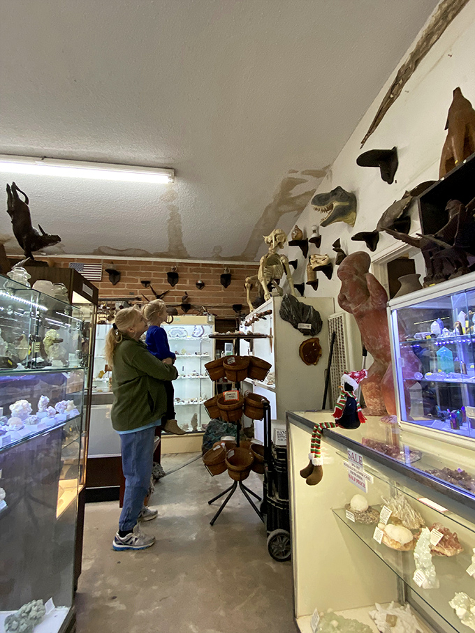 "I spy with my little eye..." becomes an epic adventure here. Every nook and cranny holds a new discovery waiting to be unearthed.