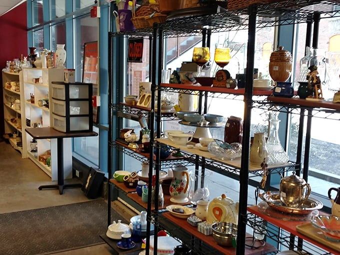 Marie Kondo meets Indiana Jones: Shelves of neatly organized curiosities just waiting to spark joy in your life.