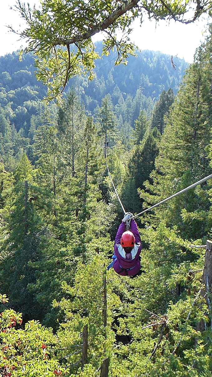Who needs Netflix when you can zip through nature's own 3D adventure? Just don't forget to breathe between the screams!