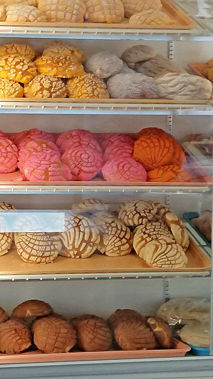 A kaleidoscope of carbs! These colorful conchas and pastries are like edible works of art. Van Gogh would've traded his ear for a bite.