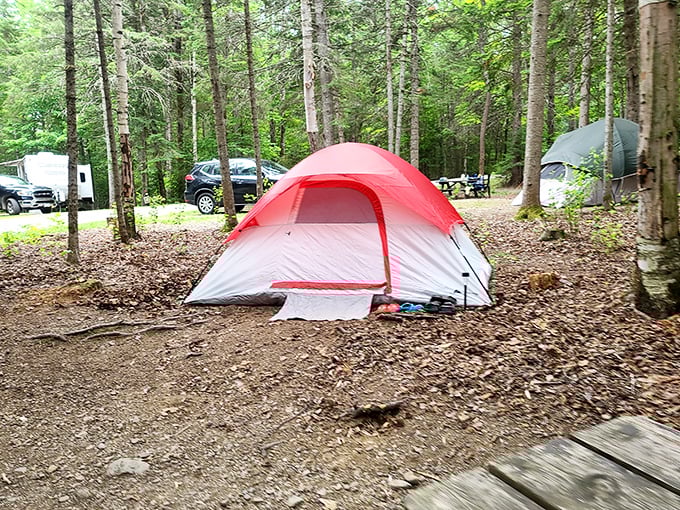 Camping: where "roughing it" means no Wi-Fi, but the starry sky more than makes up for it.