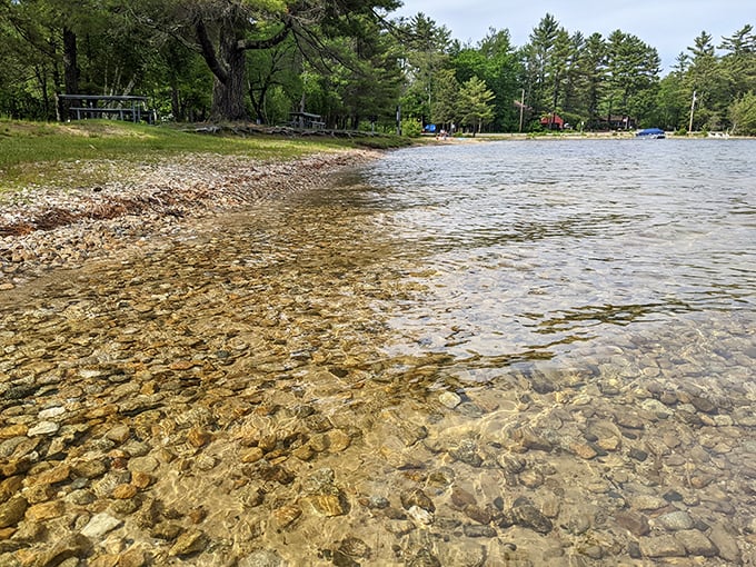 "Crystal clear? More like nature's HD!" The pristine shallows reveal a pebbled wonderland beneath, inviting barefoot explorers to wade into refreshing bliss.