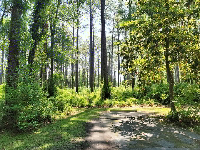 Forget the Enchanted Forest—this Floridian woodland is where the real magic happens. Can you feel the prehistoric vibes?