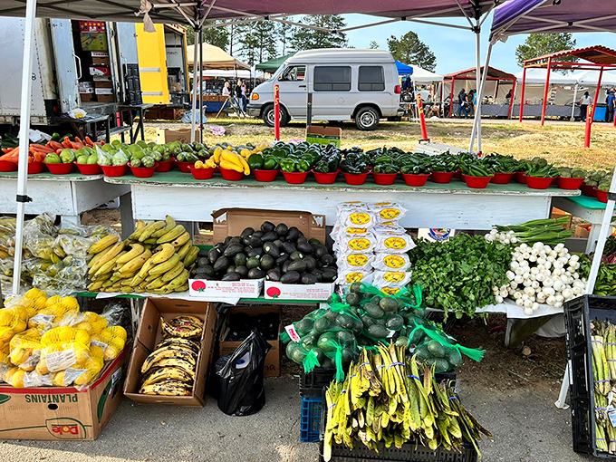 Nature's candy store on display! These veggies are so fresh, you might catch them doing yoga on your kitchen counter later.