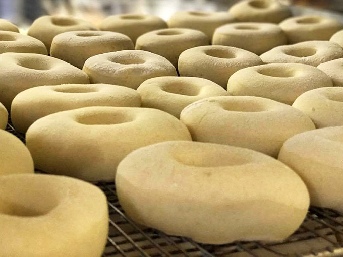Naked and unafraid! These freshly made donuts are ready for their glow-up. It's like seeing a celebrity without makeup &ndash; still gorgeous!