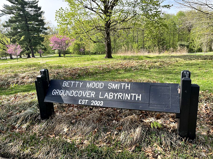 Lost in the leaves? Betty Mood Smith's Groundcover Labyrinth offers a whimsical twist on the classic maze. No minotaurs, just mirth!