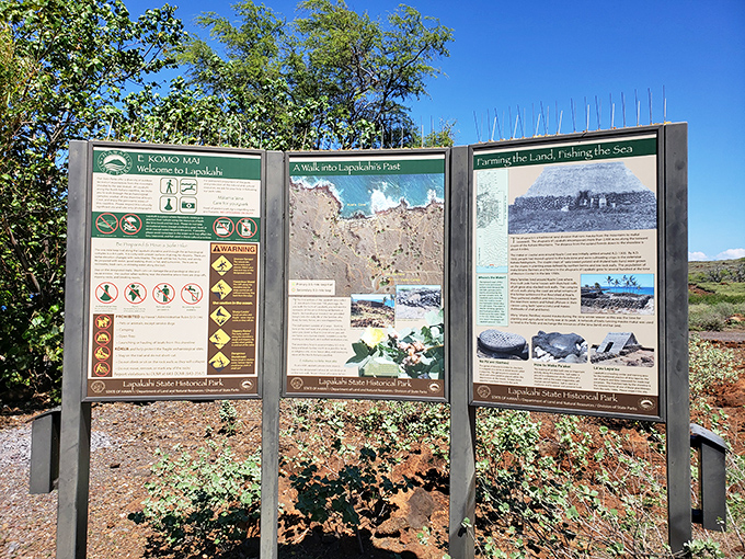 Knowledge is power, and these markers are your superhero cape. Time to channel your inner Indiana Jones, folks!