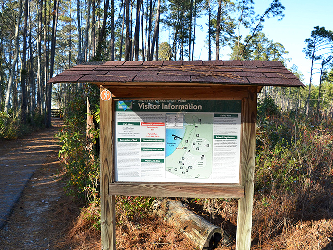 Nature's own Wikipedia page. This info board is packed with more facts than your trivia-loving uncle, minus the bad jokes.