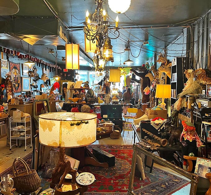 If your attic and a carnival had a baby, it might look like this. A wonderland of weird where every nook tells a story.