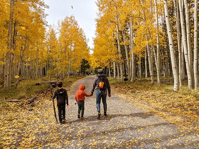 Family bonding, Lockett Meadow style! Where every step is an adventure and every leaf a potential science lesson.