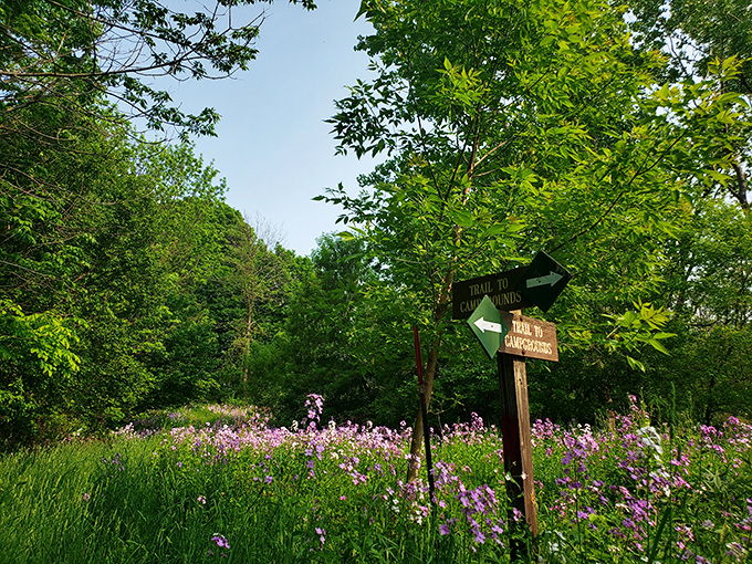 "Trail to Wildflowers" or "Path to Zen"? Either way, this sign points to a technicolor adventure in Mother Nature's backyard.