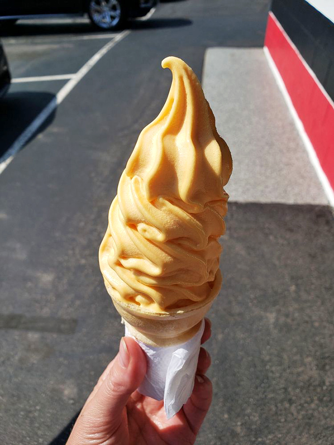 Sunshine in a cone! This swirl of creamy orange goodness is the perfect fuel for your inner child's summer road trip fantasies.