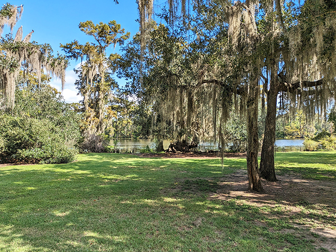 Grass so green it makes the Emerald City jealous. This lawn is begging for a picnic or an impromptu game of croquet.