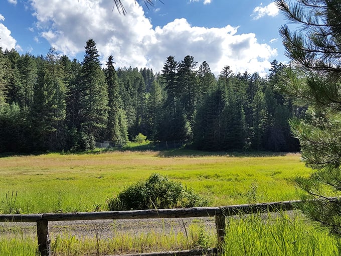 Who needs a green screen when you've got this backdrop? Winchester's meadows are ready for your Julie Andrews moment.