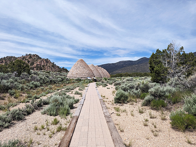 Nature's red carpet treatment. This wooden pathway invites you to stroll through a sea of wildflowers and breathe in the crisp mountain air. 
