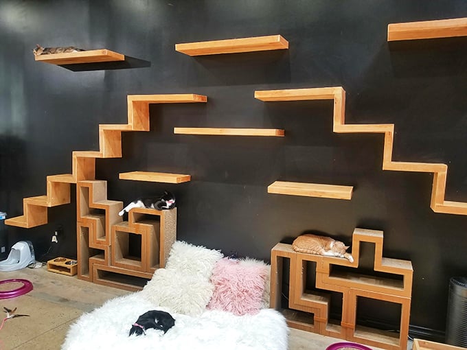 Cat Tetris, anyone? This feline playground puts my childhood treehouse to shame. It's like a kitty obstacle course designed by M.C. Escher.