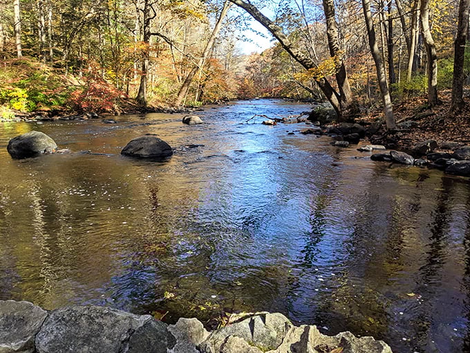 Serenity now! This tranquil scene is better than any meditation app. Nature's own chill pill, served with a side of scenery.