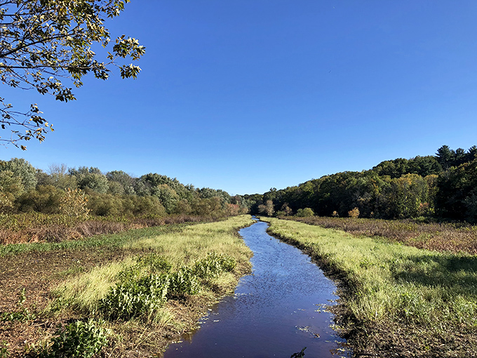 Meandering like a lazy Sunday, this stream is nature's version of a gentle massage. Stress doesn't stand a chance here.