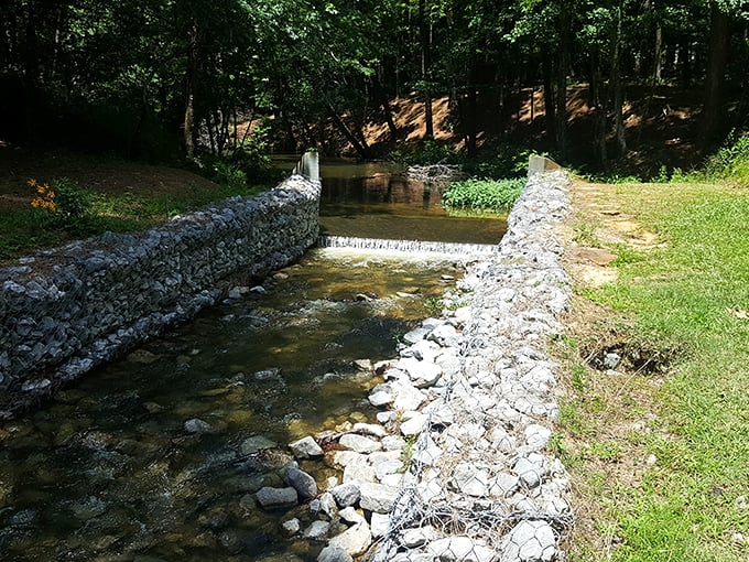Nature's own water park! This babbling brook is Mother Earth's version of a lazy river, no inner tube required.