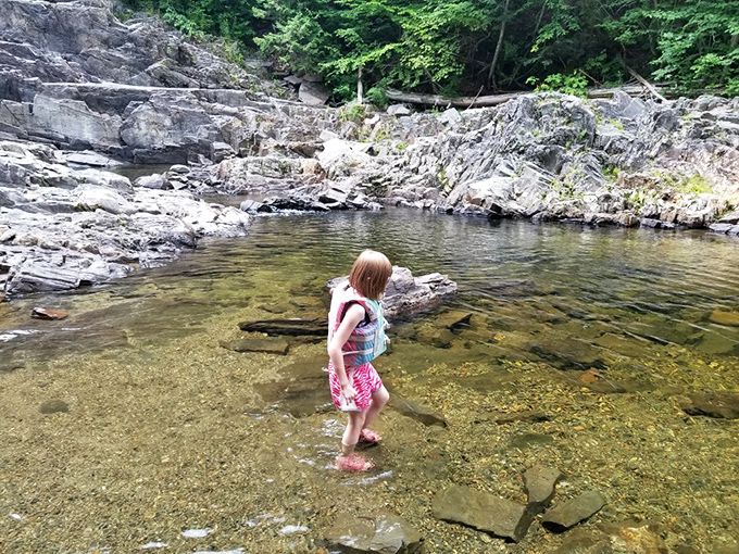 Who needs a fancy pool when you've got nature's own splash pad? This little explorer is living her best "Finding Nemo" life.