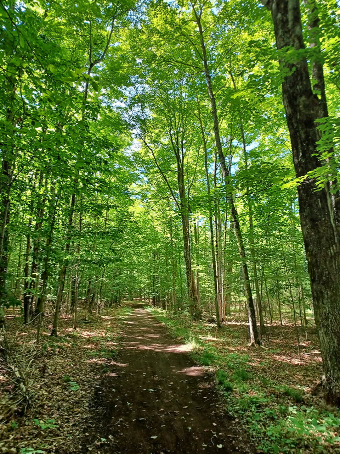 Follow the yellow brick... er, dirt road! This enchanting trail promises more twists and turns than a soap opera marathon.