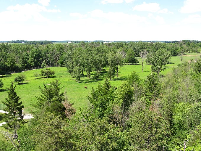 From up here, the world's your oyster - or in this case, your very own slice of Hoosier heaven. Talk about a room with a view!