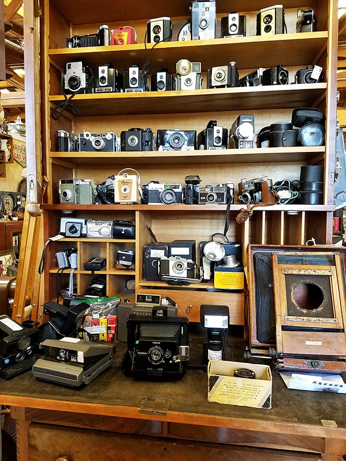 Smile and say "cheese" &ndash; or should I say "Kodak"? This shelf is a snapshot of photography history that'll make your Instagram filters feel inadequate.