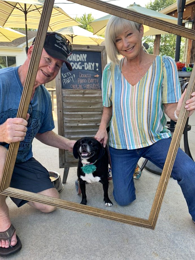 Who let the dogs in? It's all smiles and wagging tails at this pet-friendly spot. Even Fido can join the treasure hunt!