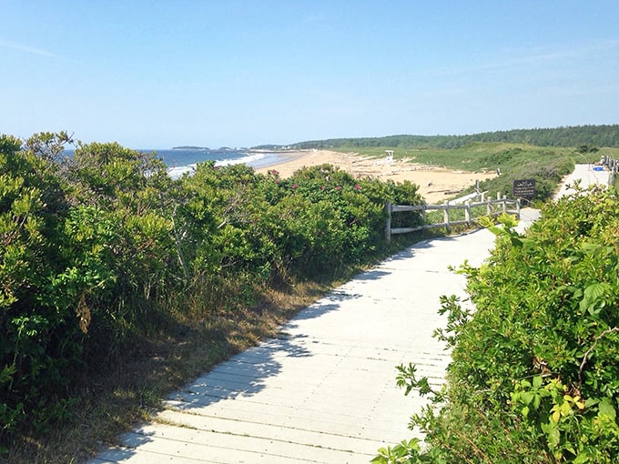 Follow the yellow brick... boardwalk? This path leads to a wonderland that would make Dorothy trade her ruby slippers for flip-flops.