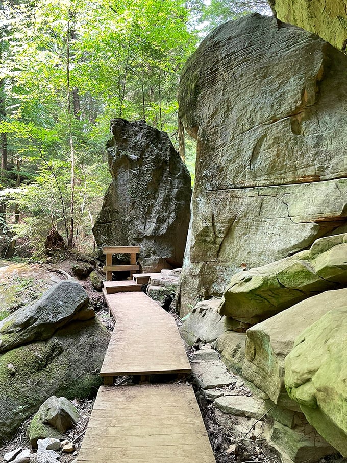 Who needs a red carpet when you've got this? This boardwalk is your VIP pass to nature's grand show, no stilettos required.