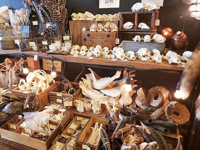 Bone appetit! This skeletal smorgasbord is a feast for the eyes, if not quite for the stomach.