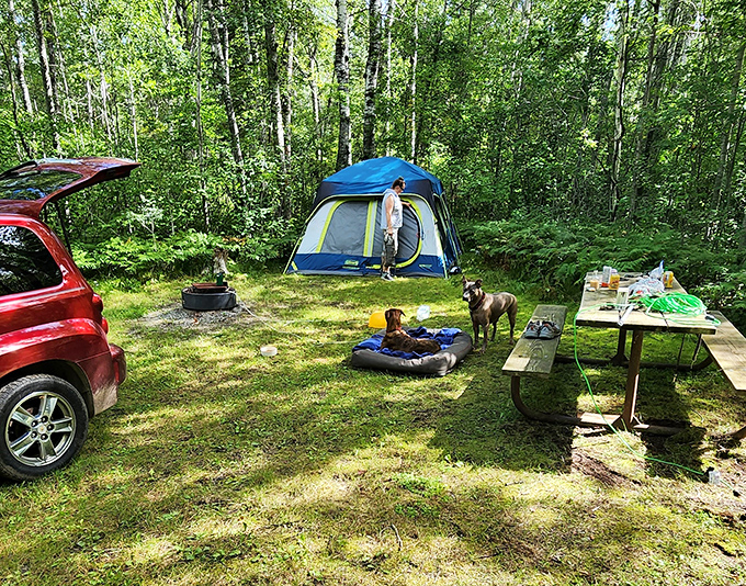 Camping 2.0: Where "roughing it" means forgetting your phone charger. This cozy setup proves you can have your s'mores and eat them too, all while surrounded by nature's finest.