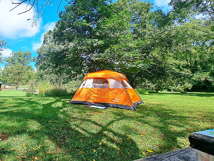 "Camping goals: Where your 'room with a view' comes with a side of stargazing and s'mores."