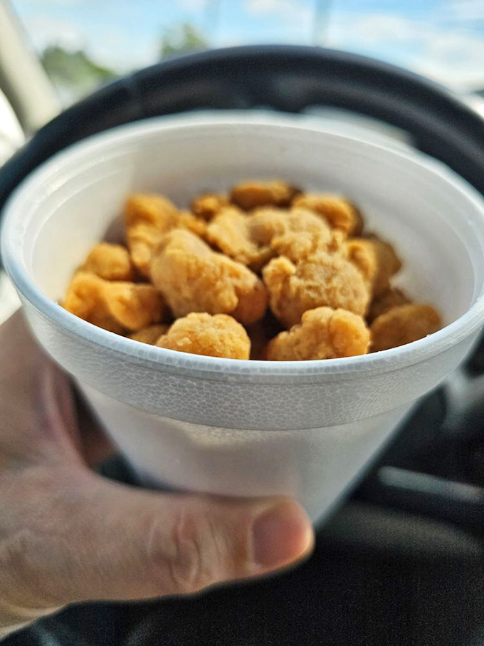 Nuggets of joy! These golden bites are like edible sunshine, perfect for brightening up even the gloomiest Michigan day.